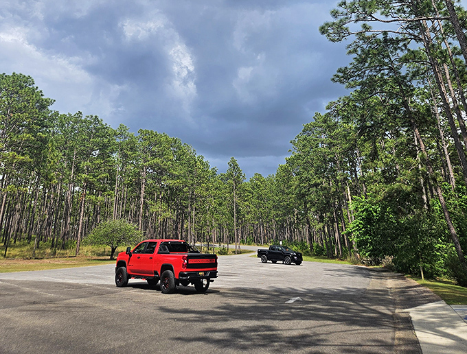 Storm clouds gathering over pine sentinels create dramatic lighting for your arrival. Nature's way of saying "Welcome to the show!"