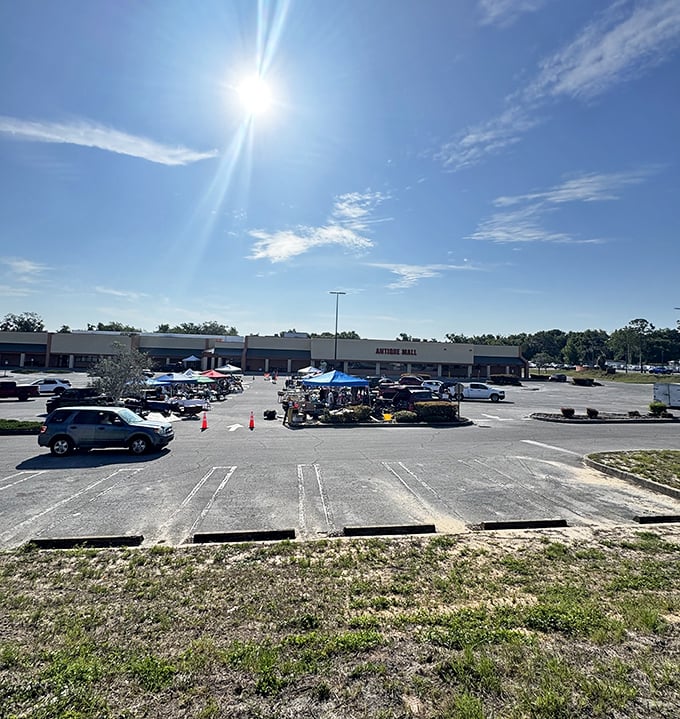 Florida sunshine beating down on treasure hunters' cars. Even from here, you can feel the air conditioning beckoning you inside.