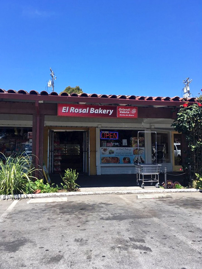Under that perfect California blue sky, El Rosal Bakery stands as a humble temple to authentic Mexican flavors. The unassuming exterior only makes the treasures inside more surprising.