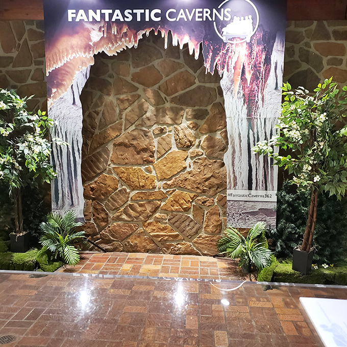 Ready for your close-up with stalactites? This photo opportunity wall brings the cave experience to those still waiting for their tour to begin.