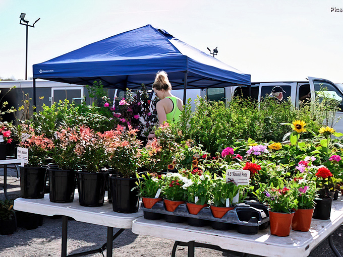 Spring arrives by the potful at the plant section. These blooms promise to transform your garden into the envy of the neighborhood.