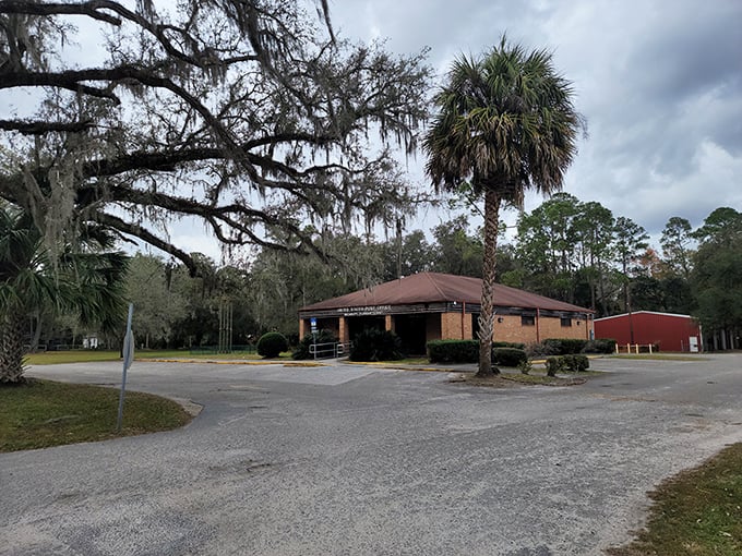 Spanish moss frames this unassuming building like nature's own decoration. Even mundane errands feel special in Micanopy's embrace.