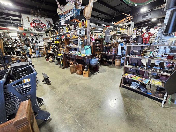 Organized chaos at its finest! Every shelf and surface holds potential discoveries—the trick is knowing which pile hides exactly what you didn't know you needed.