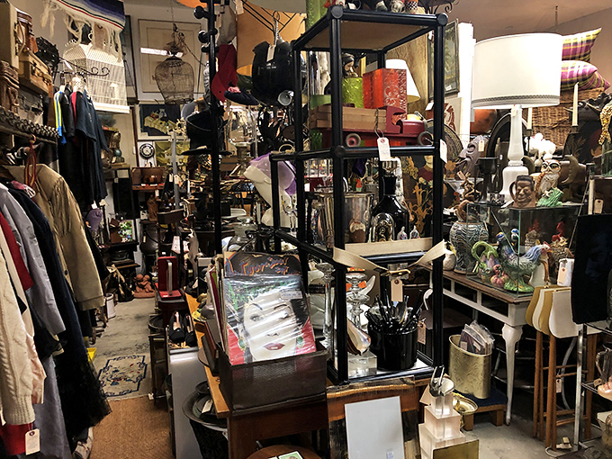 Every aisle tells a story, every shelf a new chapter&mdash;this corridor of collectibles makes Marie Kondo's worst nightmare and a treasure hunter's dream.