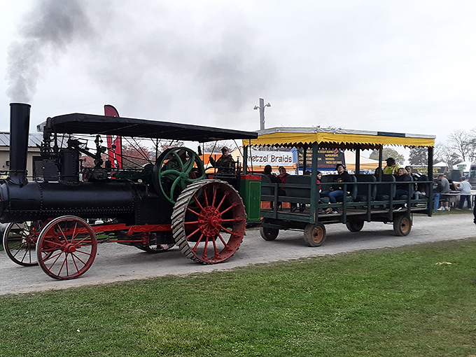 Steam power in action! This vintage traction engine pulls passenger cars, offering visitors a rumbling, whistling glimpse into Pennsylvania's industrial past.