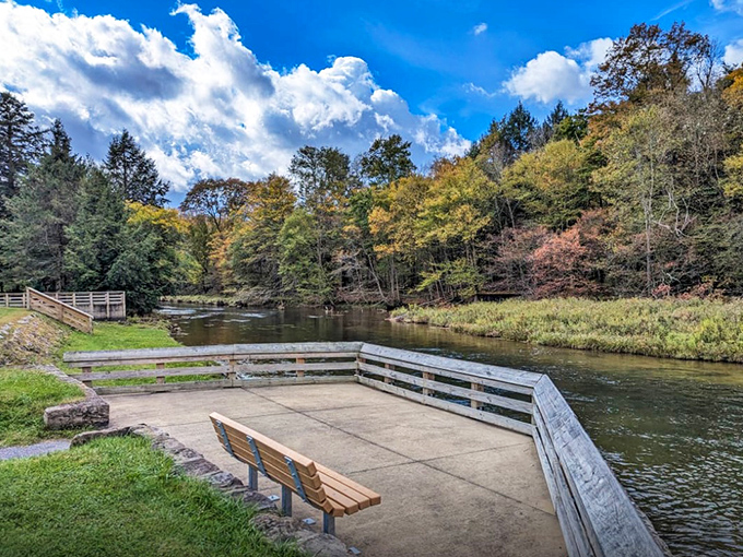 This riverside viewing platform isn't just a deck &ndash; it's front-row seating to nature's greatest show. The perfect spot for contemplating life's big questions.