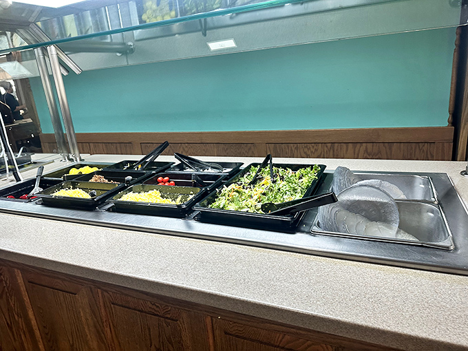 The salad bar &ndash; nature's apology for what you're about to do to your diet. A token gesture of vegetables before the comfort food storm.