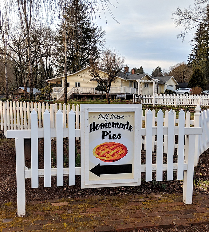 "Self Serve Homemade Pies" with an arrow is the most important road sign you'll see all day. Follow it like the North Star.