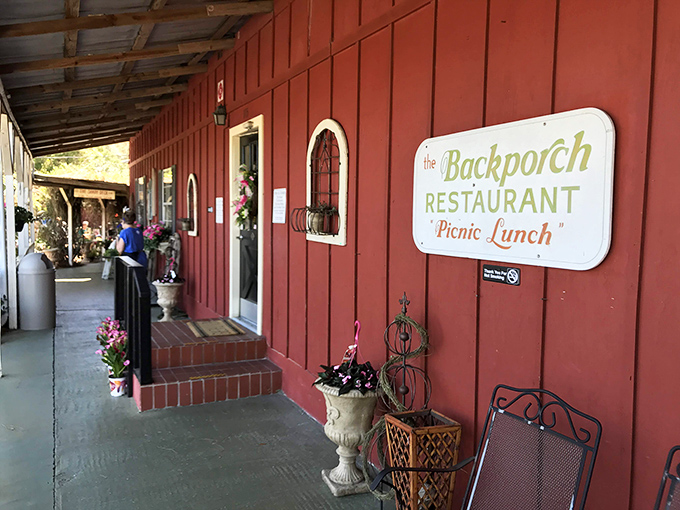 "Picnic Lunch" promises exactly what your soul needs&mdash;a meal that feels like the best day of summer, conveniently served year-round on Florida's Back Porch.