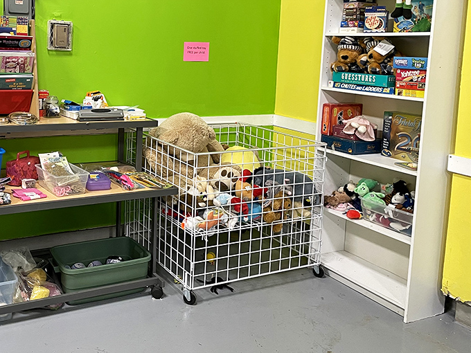 The toy bin&mdash;where abandoned stuffed animals wait patiently for their "Toy Story" moment of being loved again by a child who won't care they're pre-hugged.