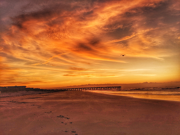When the sun performs its grand finale over Isle of Palms, even the seagulls pause to appreciate nature's most reliable yet always surprising show.