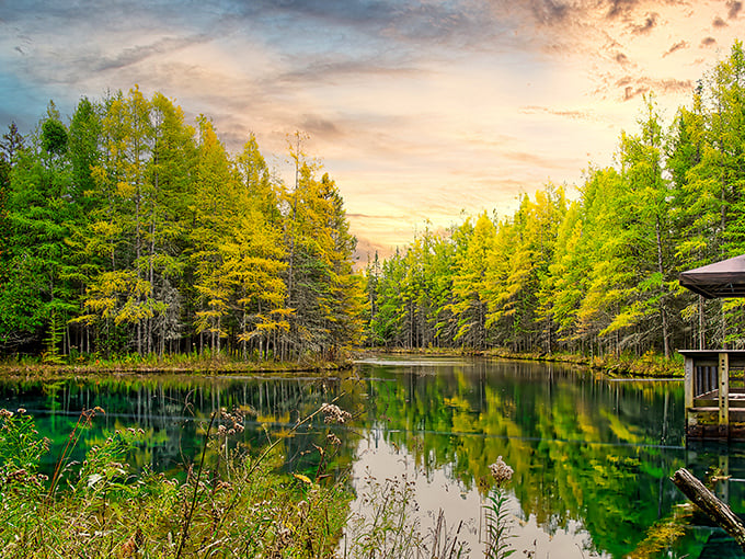 Golden hour magic transforms Kitch-iti-kipi into a painting. Sunset casts the emerald waters and surrounding forest in dreamlike hues.