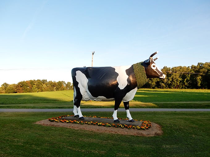 Golden hour transforms the Big Cow into a silhouette of magnificence, surrounded by a halo of marigolds like a bovine deity at sunset.