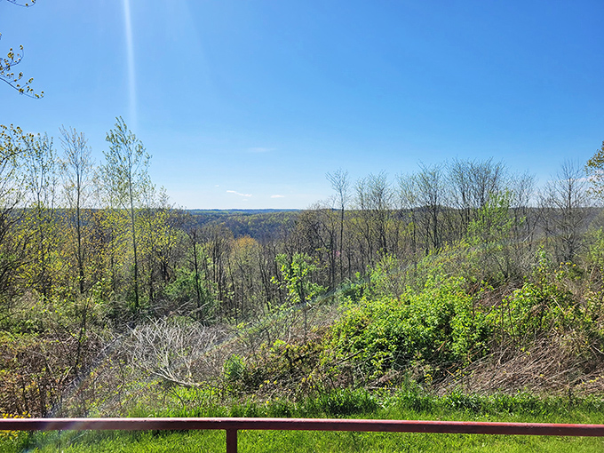 The rolling hills of southeastern Ohio stretch to the horizon. This verdant landscape was once dramatically different during mining operations.