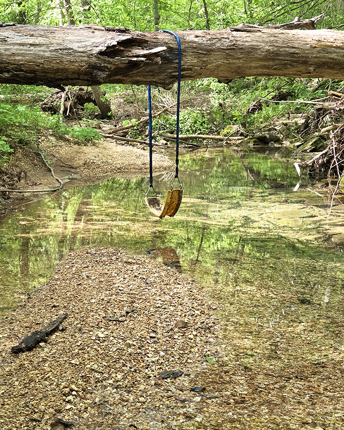 Simple pleasures in pristine waters. This rope swing dangles over crystal-clear shallows, proving Missouri's natural swimming holes beat chlorine any day.