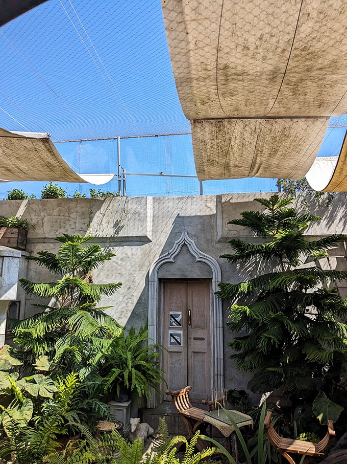 The hidden oasis &ndash; a Moroccan-inspired tea garden where reality returns slowly, cushioned by greenery and dappled sunlight filtering through canvas.