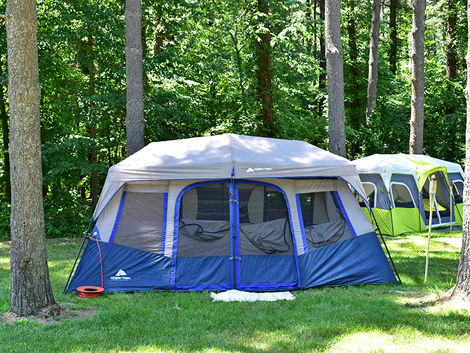 Canvas castles among the pines. These tents transform ordinary weekends into extraordinary escapes from reality.