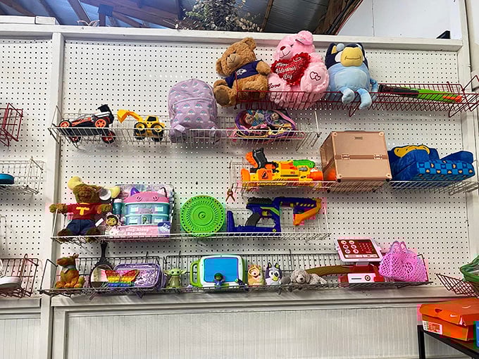 Childhood memories line these shelves, from plush friends to plastic playthings. Every parent knows the real magic is finding vintage toys without the vintage price tags.