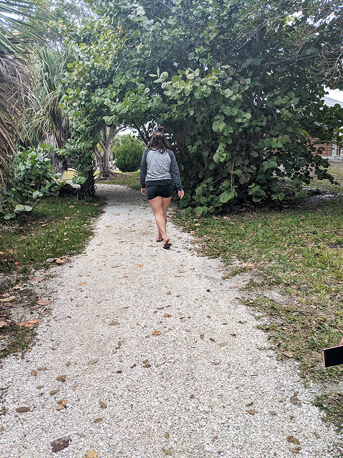The path less traveled leads to coastal treasures. This unassuming trail is Florida's version of the yellow brick road, minus the munchkins.