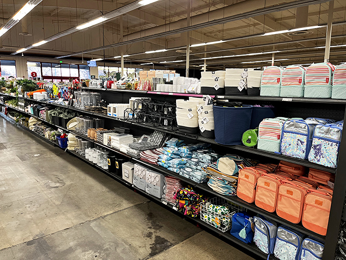 Organized chaos of household essentials that transforms mundane shopping into a scavenger hunt with prizes at every turn.