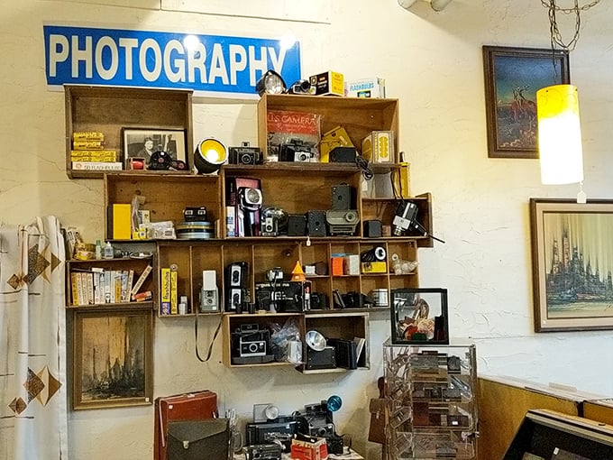 Before smartphones, photography required skill, patience, and these beautiful mechanical marvels. Each camera represents thousands of family memories.