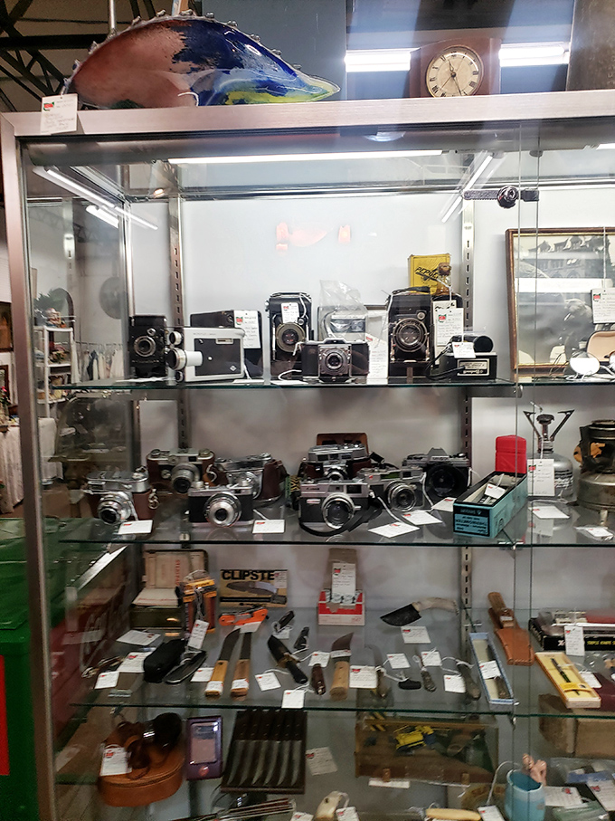 Before smartphones, these mechanical marvels captured memories. Each vintage camera represents thousands of family vacations, birthdays, and "hold still!" moments.