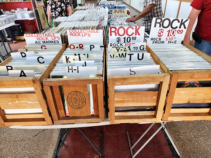 Vinyl records organized by alphabet and genre&mdash;a system that makes perfect sense until you debate whether Queen belongs under "Q" or "Rock."