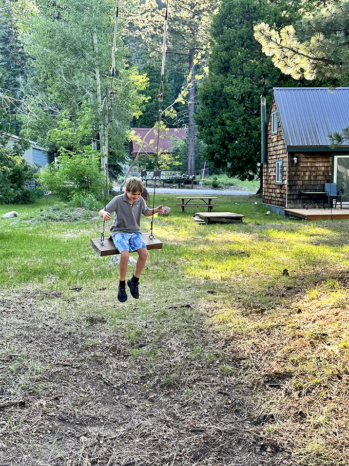 Childhood simplified to its essence. A wooden swing, summer sunshine, and no iPad in sight&mdash;some joys never need upgrading.