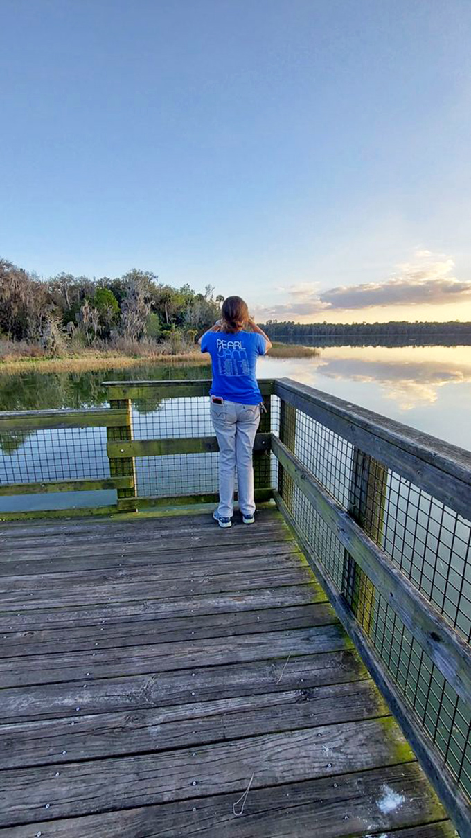 Standing on this boardwalk feels like having front-row seats to Florida's greatest natural show.