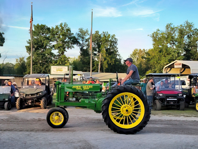 Vintage green meets vintage machine! This beautifully restored John Deere tractor parade showcases American agricultural innovation that changed farming forever.