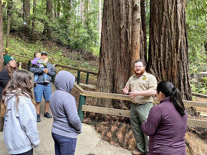 Tour guides blend science and showmanship as they explain the inexplicable, making physics fun for visitors of all ages.