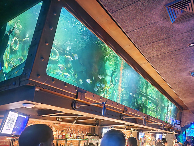 Fish glide through crystal-clear water above the bar &ndash; nature's television, but with better programming and no commercials.