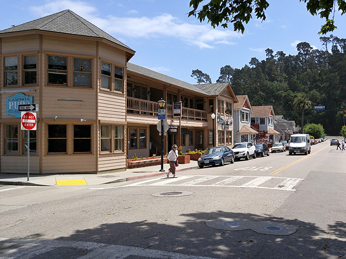 Cambria's colorful buildings perch near the Pacific coastline. Ocean views and village charm make for a perfect California cocktail.