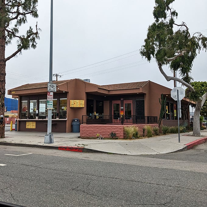 This no-frills taco stand proves that sometimes the best food comes from the plainest buildings &ndash; a lesson in culinary humility.