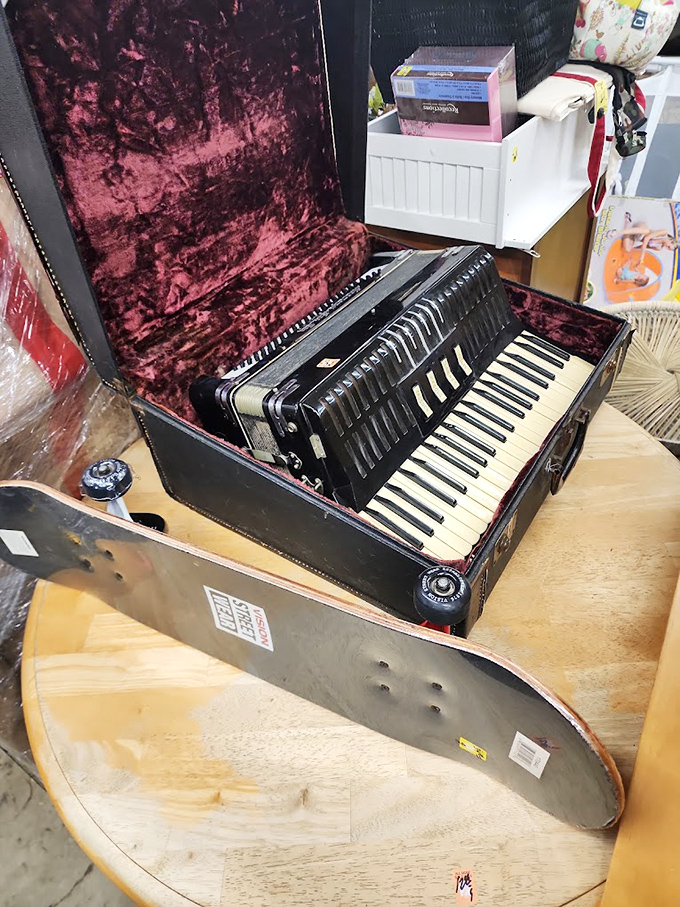 An accordion and skateboard share unlikely shelf space&mdash;the perfect metaphor for thrift store magic where disparate treasures coexist.
