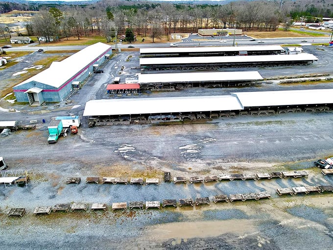 From above, Big D's empire of bargains reveals its true scale&mdash;a sprawling wonderland where Georgia's biggest little secret awaits discovery.