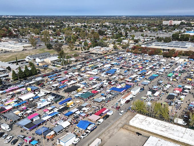The magnificent sprawl from above&mdash;an aerial view of California's shopping democracy in action, where thousands gather in the pursuit of deals.