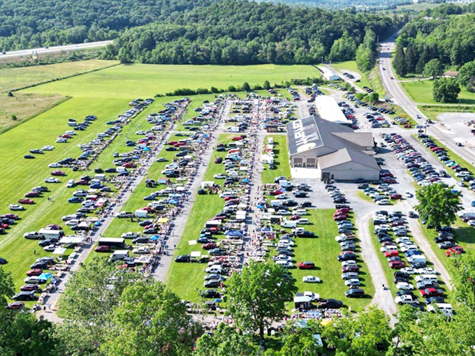 The aerial view reveals the true scale of this bargain metropolis. Like an ant colony dedicated to the pursuit of deals and steals.