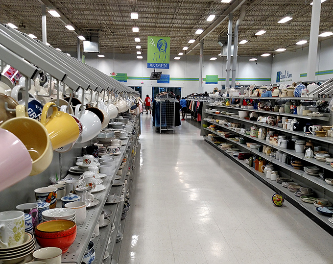Mugs to the left, plates to the right&mdash;this kitchenware aisle could furnish your cabinets for pennies on the dollar.
