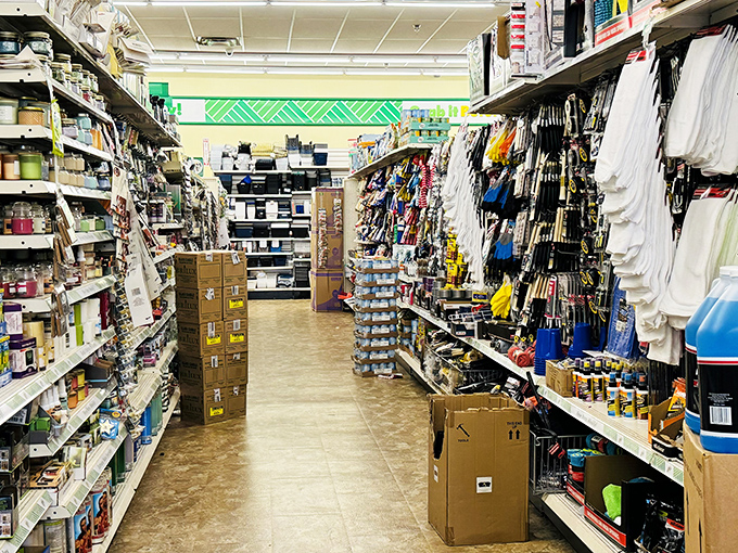 The hardware aisle stands ready for weekend warriors and emergency repairs, where DIY dreams meet wallet-friendly reality.