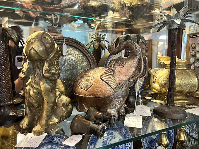 Brass elephants and crystal treasures create a sophisticated menagerie behind gleaming glass display cases.