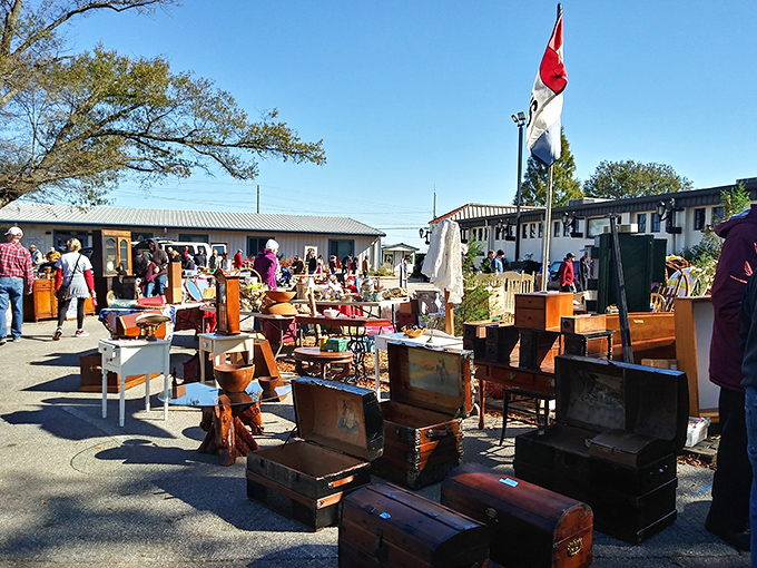 Antique trunks and wooden treasures basking in the North Carolina sunshine. Each one could tell stories of attics, basements, and the journey to their next home.