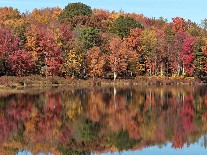 Autumn's spectacular foliage reflects in still waters, doubling the visual feast that makes photographers weep with joy.