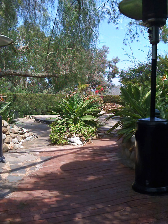 The back patio feels like discovering a secret garden where they happen to serve exceptional food. California outdoor dining at its finest.