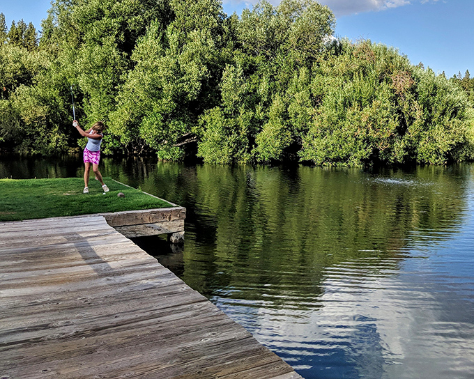Fishing from wooden docks becomes meditation in motion, where catching anything becomes secondary to simply being present in this tranquil green sanctuary.