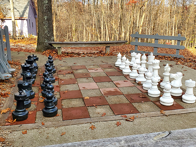 Life-sized chess pieces await strategic minds on this outdoor board. Nothing says "royal recreation" like moving bishop-shaped objects larger than your torso.