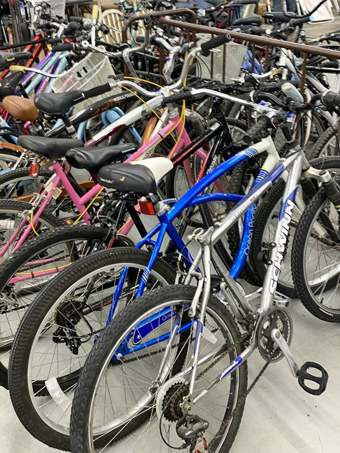 The bicycle graveyard offers two-wheeled freedom at pocket-change prices. That pink Schwinn is just waiting for its second chance at adventure.