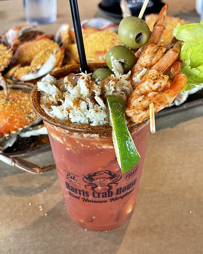 The Bloody Mary that's practically a meal in itself. Garnished with crab meat and shrimp, it's the cocktail equivalent of a Maryland treasure chest.