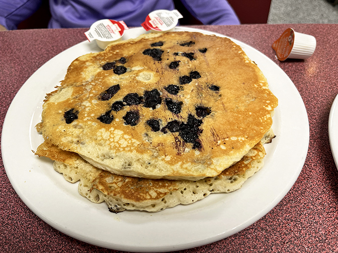 Blueberry pancakes the size of vinyl records - sweet, fluffy discs that play the delicious tune of a perfect morning.