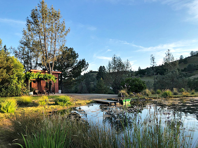 Peaceful pond perfection just minutes from town. This tranquil spot proves that in Placerville, nature's luxury amenities are available without a membership fee.